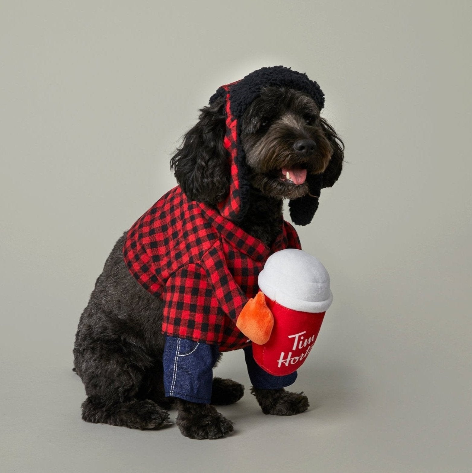 Tim Hortons Pet Costumes | Lumberjack Costume - Adorable and Cozy ...